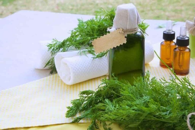 Dill Oil: Recipe, Benefits, Side effects, Company, Weight loss, Uses