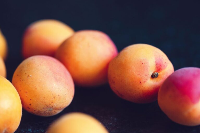 Apricot: Types, Benefits, Nutrition, Taste, Side Effects and More
