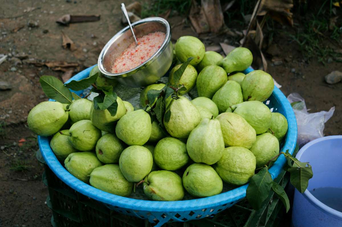 Guava: Benefits, Side Effects, Nutrition, Taste, Recipes, & More