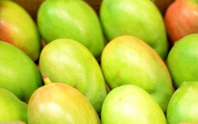 How to Tell if a Mango is Ripe: The Complete Guide